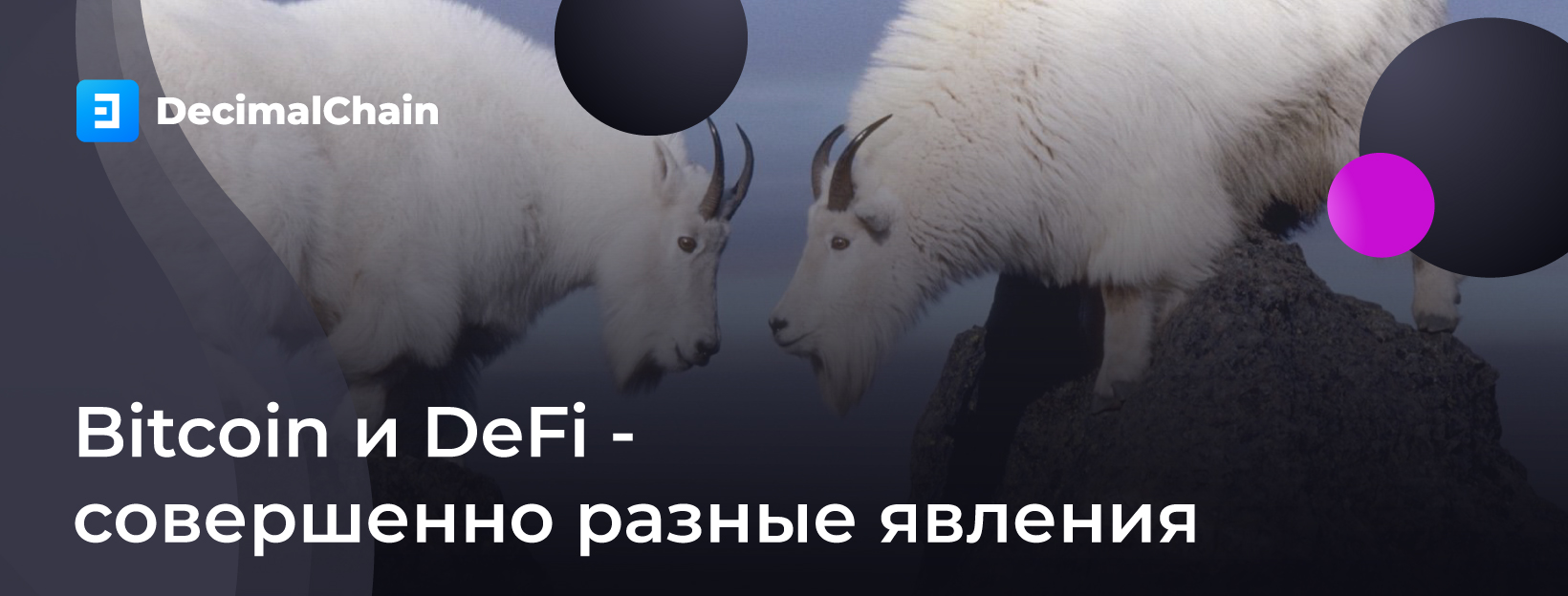 Bitcoin и DeFi - совершенно разные явления